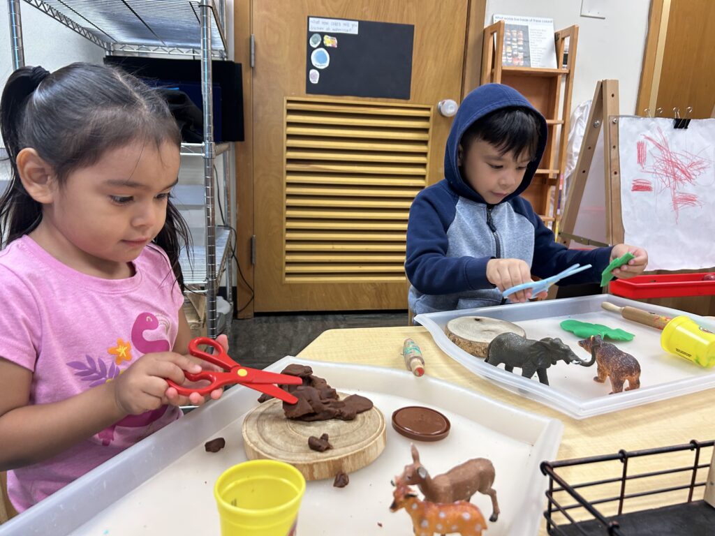 What is participation? - Teaching Preschool Partners