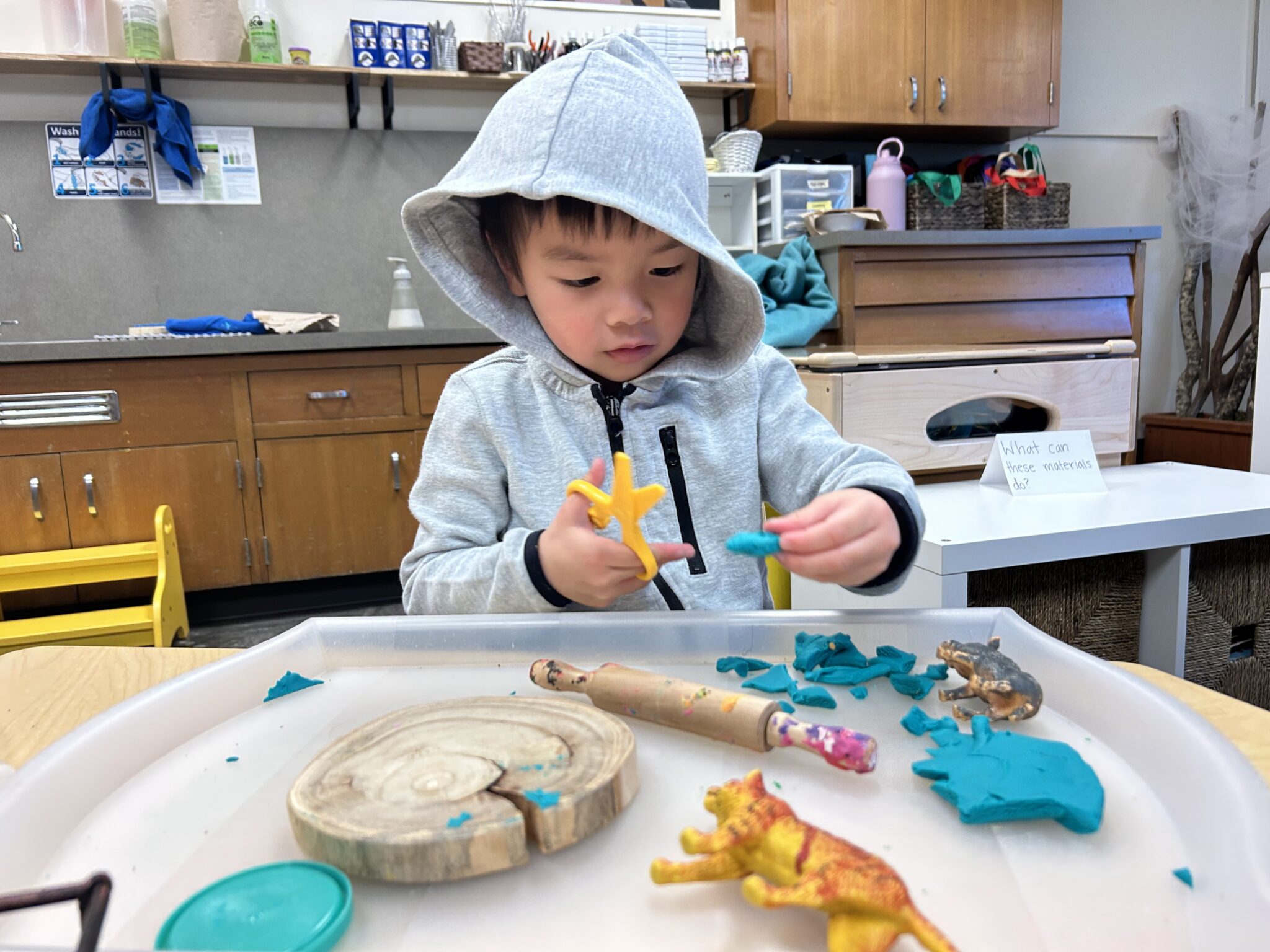 What is participation? - Teaching Preschool Partners