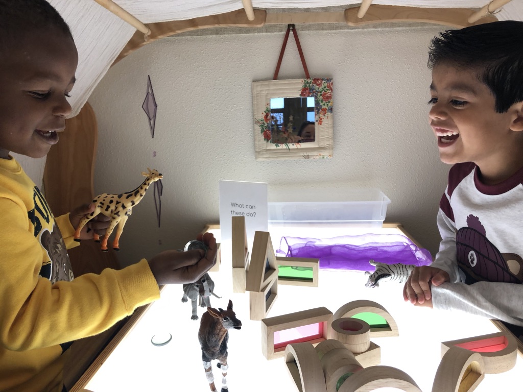 Introducing the Reggio Emilia Approach to Public Elementary Schools ...