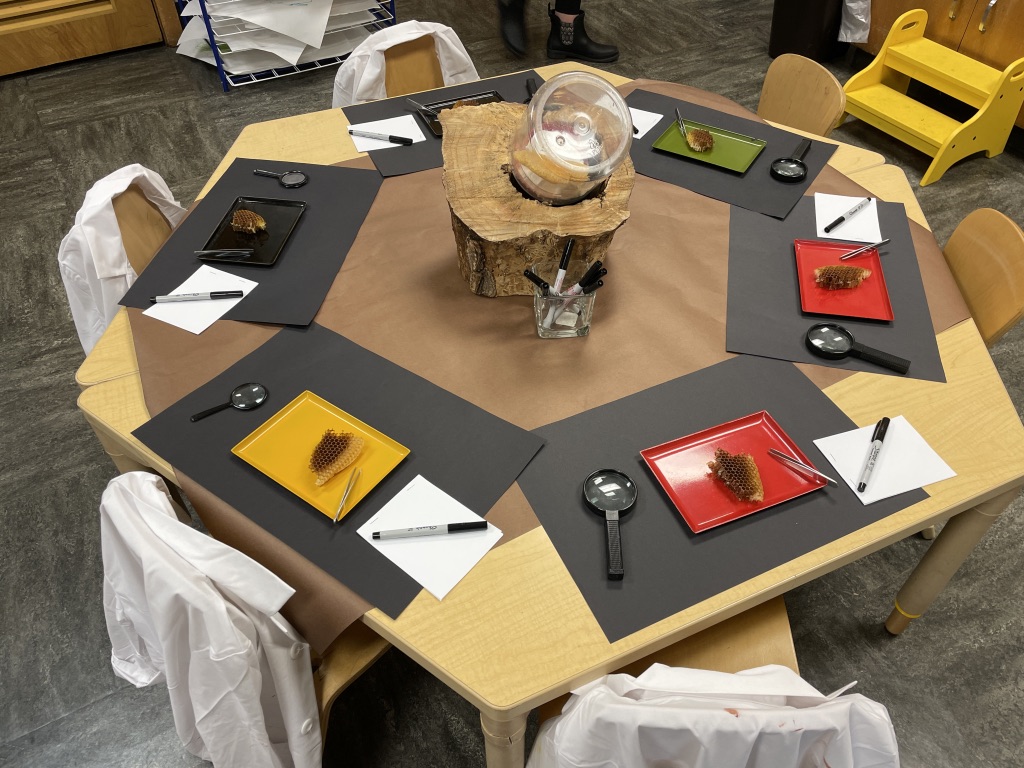 Environments for Playful Inquiry: Where do I start? - Teaching ...