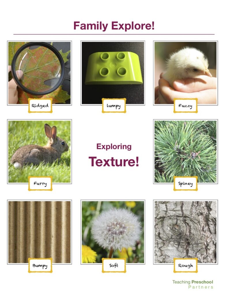 Family Explore: Texture - Teaching Preschool Partners